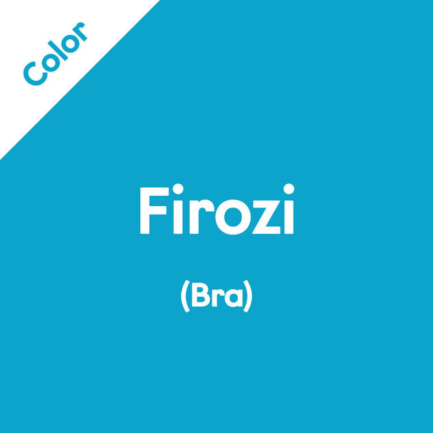 Firozi Bra Color Online Shopping in Pakistan, Buy Firozi Bra Color ...