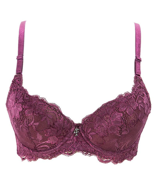 Maroon Net Embroidered Flourish Bra - Single Padded Underwired Bra ...