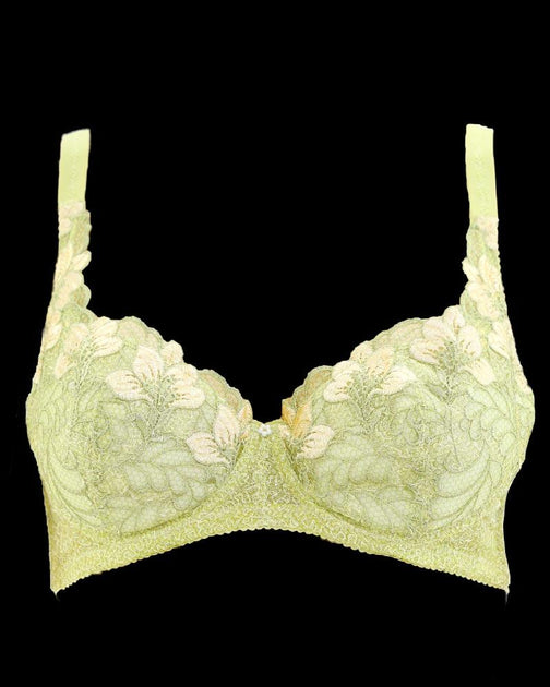 Fancy Embroidered Bra, Non Padded - Underwired Bra - Taiwan Bra - 2033 ...
