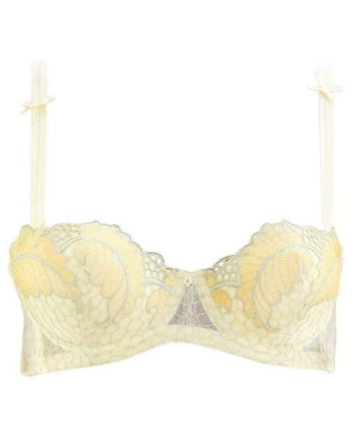 Fancy Embroidered Bra, Single Padded Demi Bra - Underwired Bra - Taiwan ...